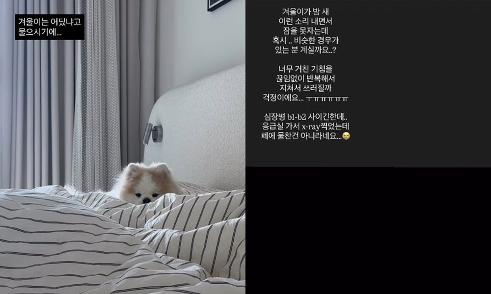 ‘박성광♥’ 이솔이, 가슴 아픈 소식…“거친 기침 반복” [RE:스타]