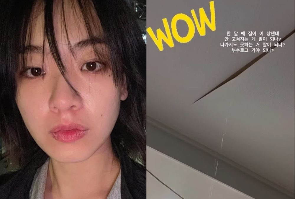 이주영, 한 달 째 누수 피해.. "소송로그 많은 관심 부탁" [RE:스타]